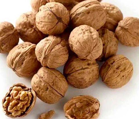 Australian Walnut in Shell