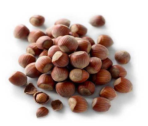Hazelnut In Shell